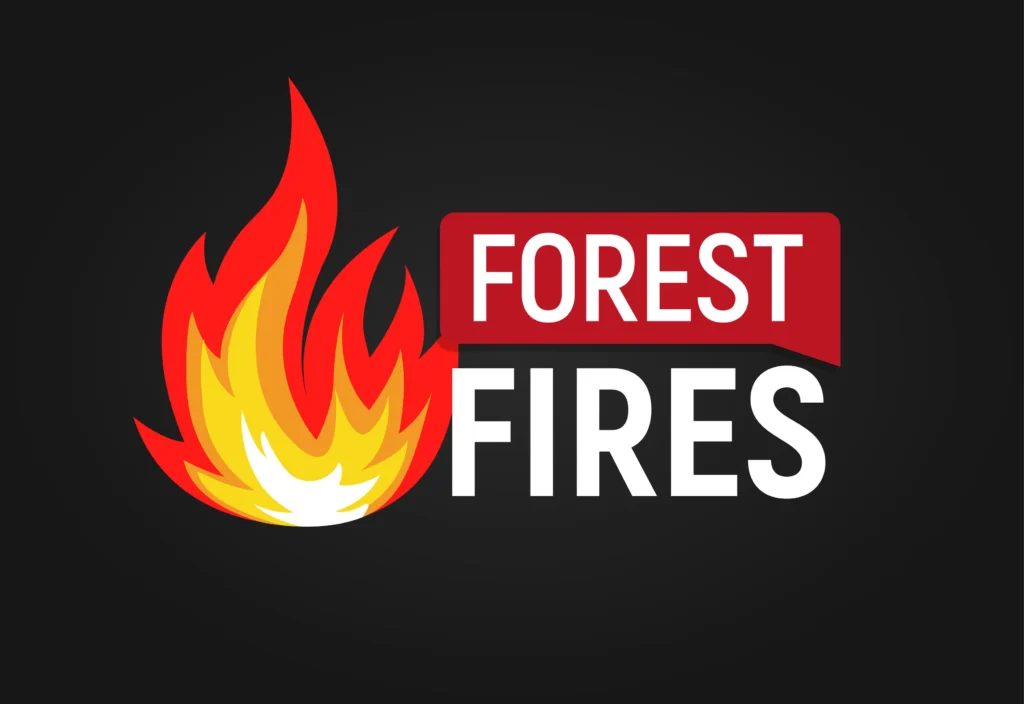 Forest Fire Map & How to Report - Your Sunset Country